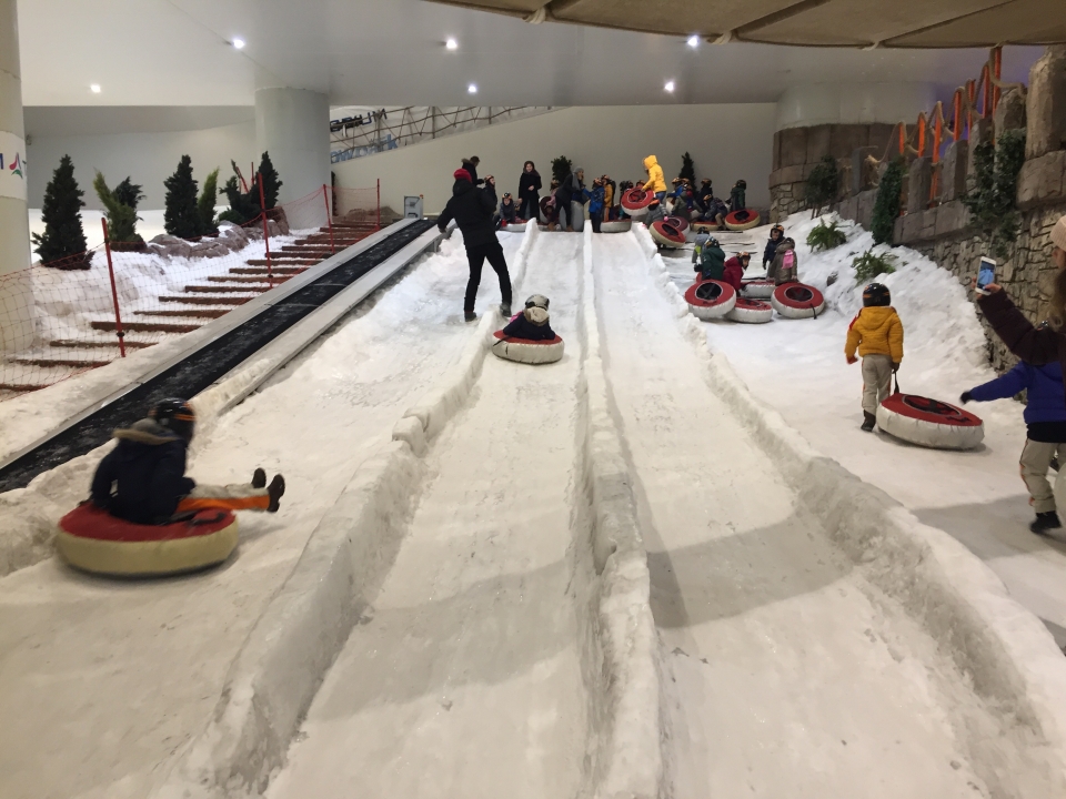 Okyanus Koleji - Kolej, Özel Okul, Ana okulu, ilkokul, ortaokul, Lise ...